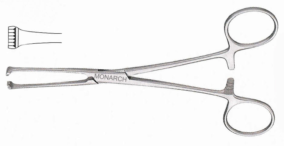Allis Forceps 5x6 teeth, Length 6\" – Monarch Medical Products