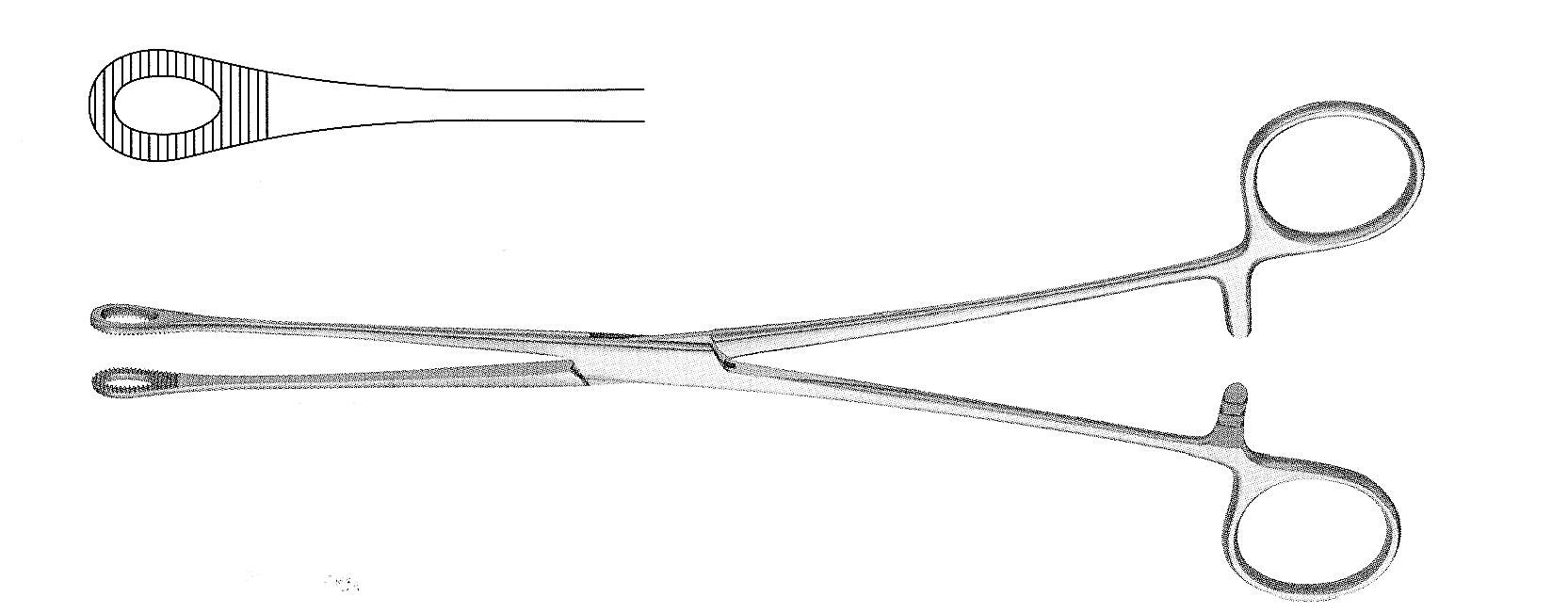Bergmann Forceps – Monarch Medical Products